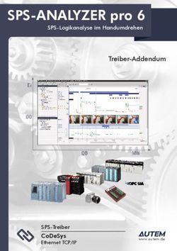 SPS-ANALYZER pro 6 Treiber-Addendum - Ethernet TCP/IP