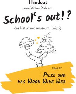 School's out!? - das Wood Wide Web Pilze und - Handout - Stadt Leipzig