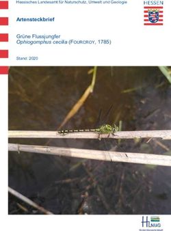Artensteckbrief Grüne Flussjungfer - Ophiogomphus cecilia (FOURCROY, 1785) Stand: 2020