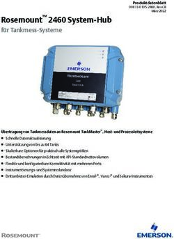 Rosemount 2460 System-Hub - für Tankmess-Systeme - Emerson