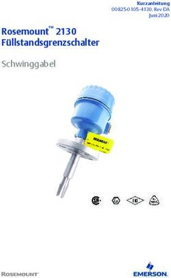 Rosemount 2130 Füllstandsgrenzschalter - Schwinggabel