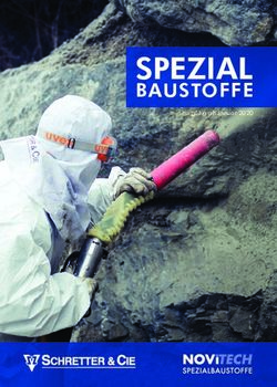 SPEZIAL BAUSTOFFE - Schretter & Cie