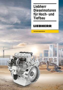 Liebherr Dieselmotoren für Hoch- und Tiefbau - Verbrennungsmotoren